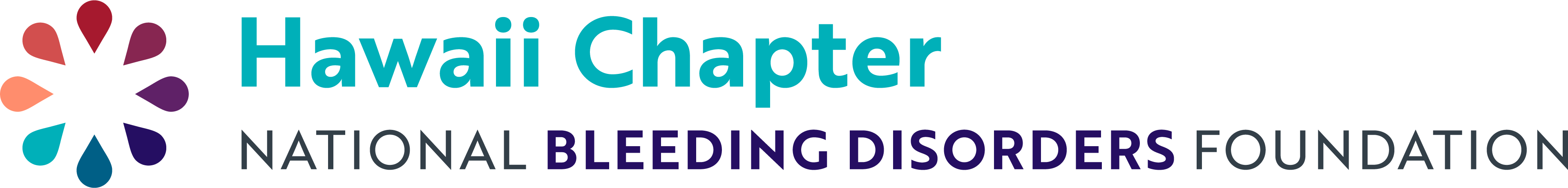 Hawaii Chapter, National Bleeding Disorders Foundation | NBDF
