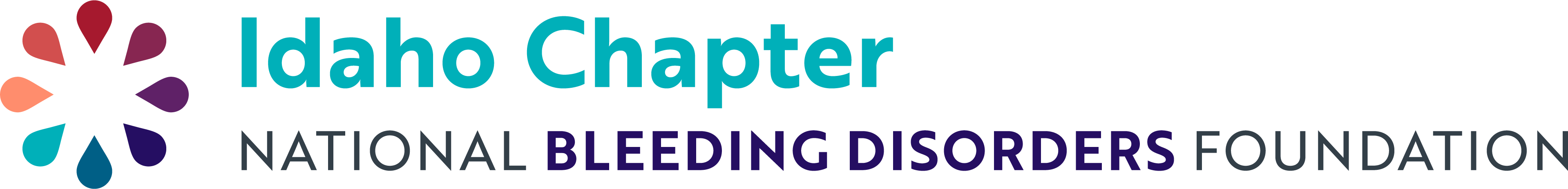 Idaho Chapter, National Bleeding Disorders Foundation | NBDF