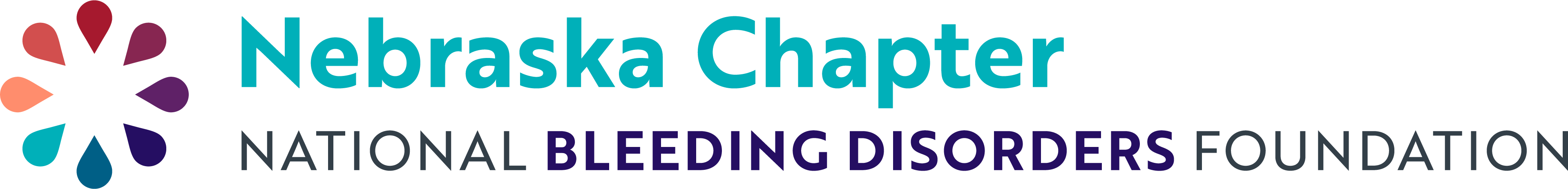 Nebraska Chapter, National Bleeding Disorders Foundation | NBDF