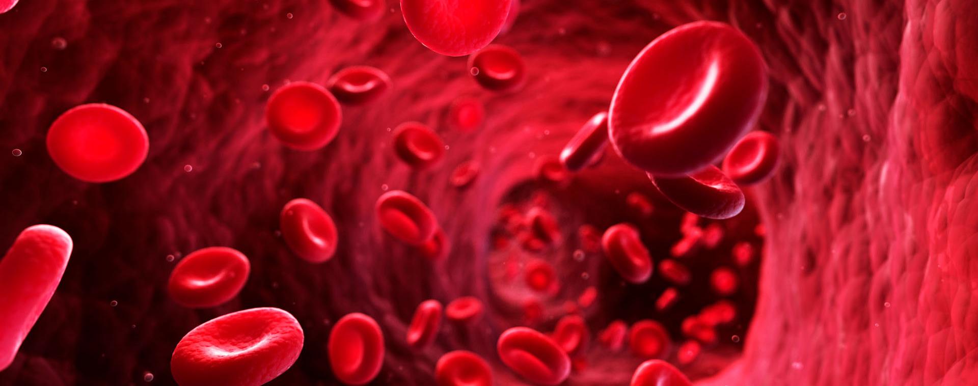 Investigational SubQ Hemophilia Therapy Application Submitted to FDA | NBDF