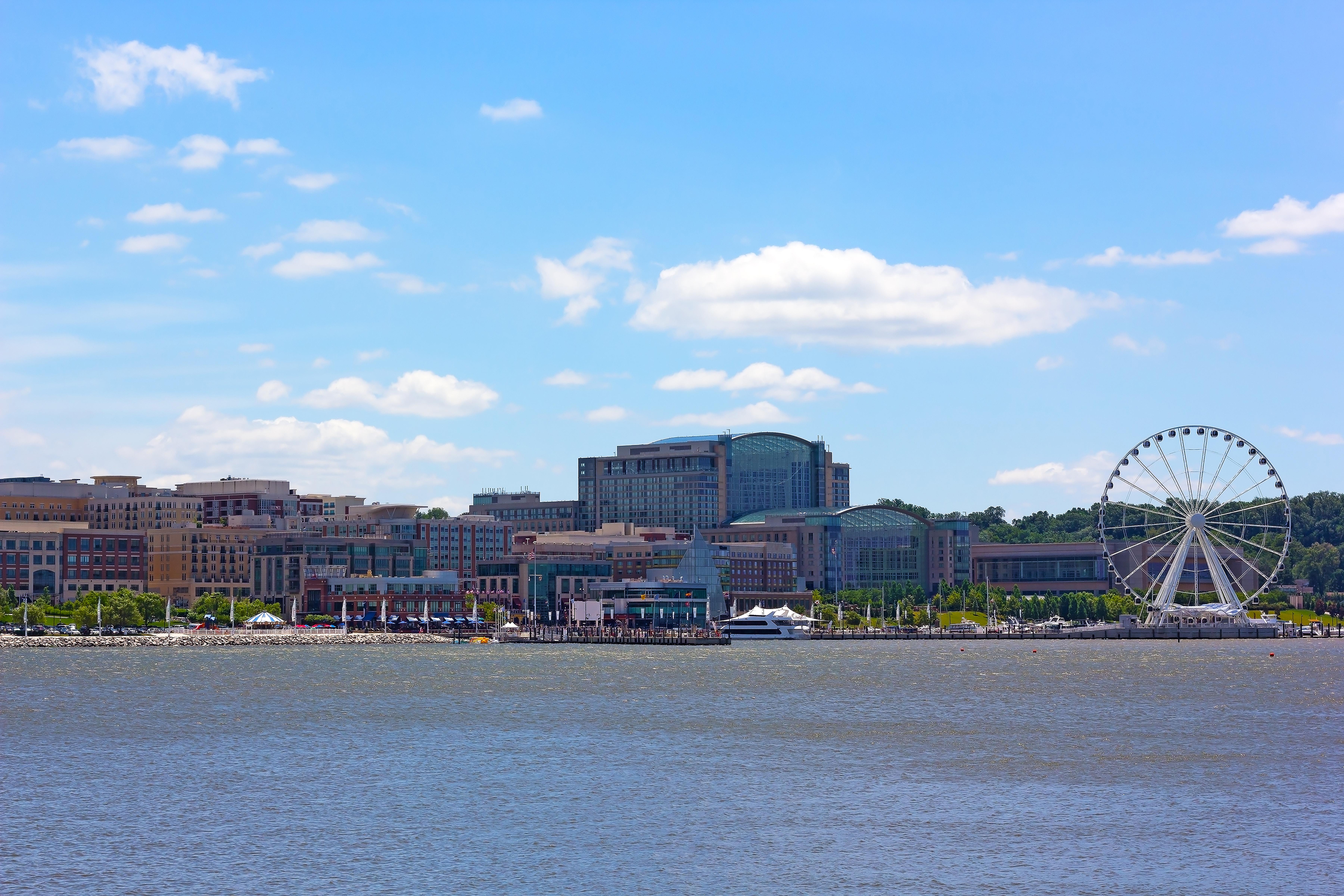 Bleeding Disorders Conference 2023 | NBDF