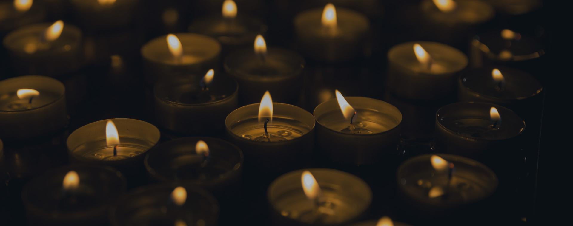 In Memoriam: Carol Kasper, MD | NBDF