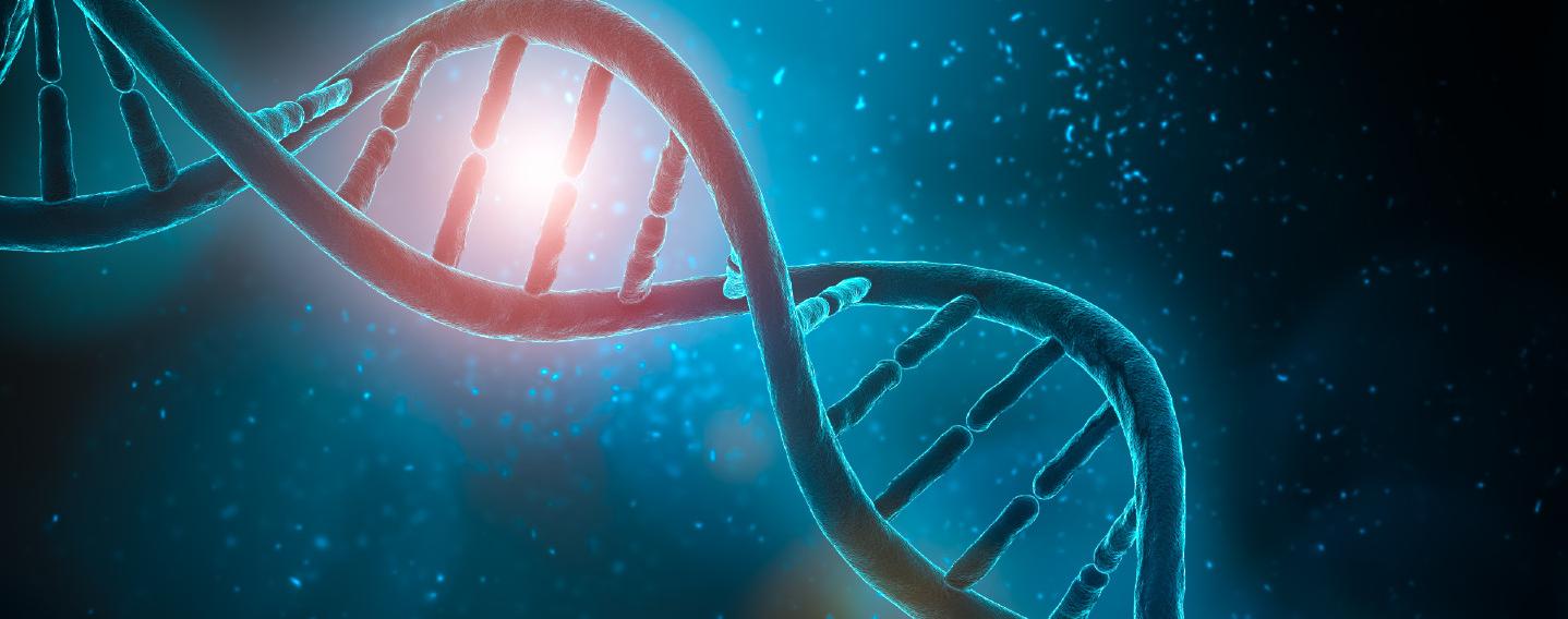 Hemopohilia Gene Therapy Program to Continue Within Roche Group | NBDF