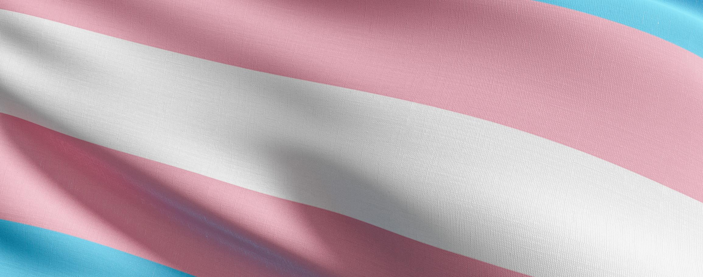 Transgender Health and the Bleeding Disorders Community with Mason ...